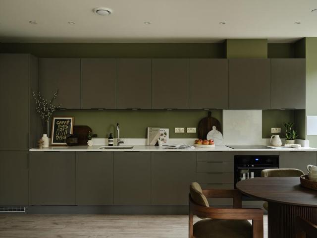 1 bedroom apartment to rent
