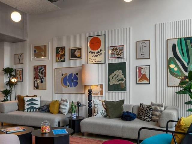 1 bedroom apartment to rent
