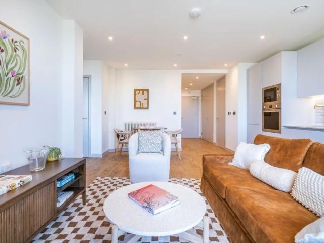 1 bedroom apartment to rent
