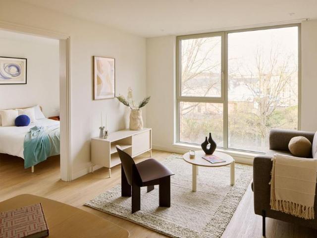 1 bedroom apartment to rent