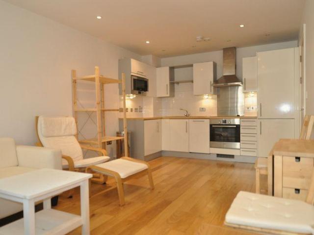 1 bedroom apartment to rent