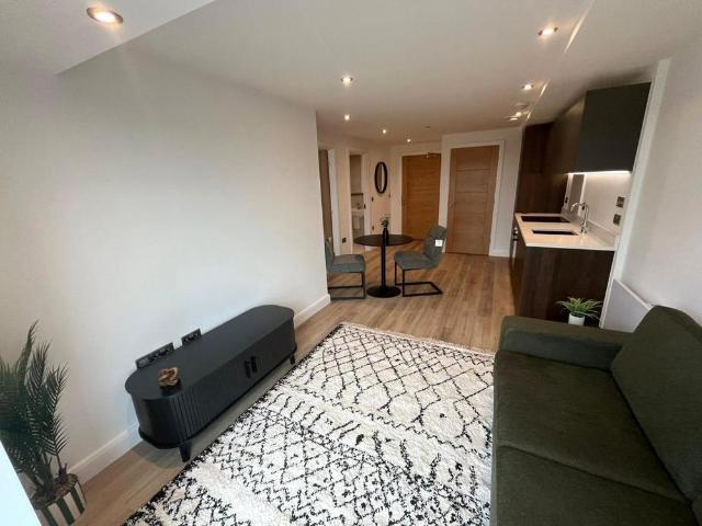 1 bedroom apartment to rent