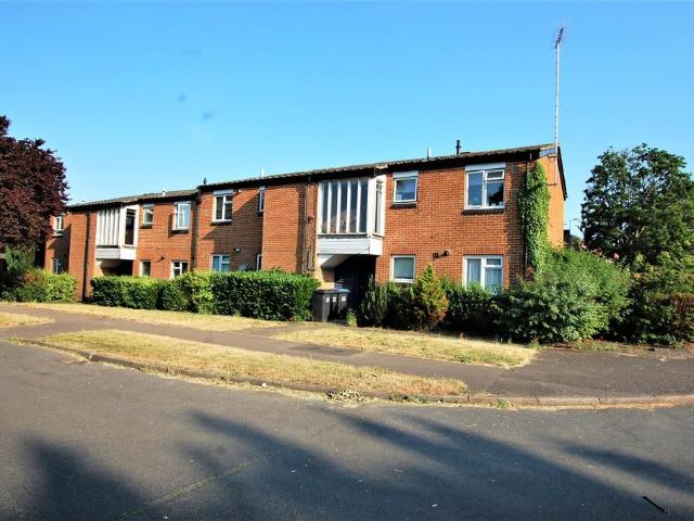 1 bedroom ground flat to rent