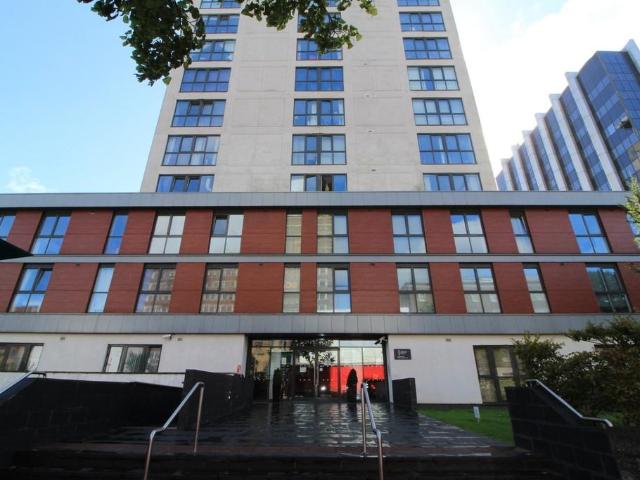 1 bedroom apartment to rent
