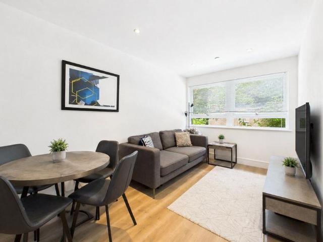 1 bedroom apartment to rent