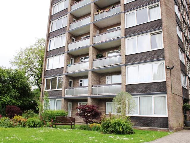 1 bedroom apartment to rent