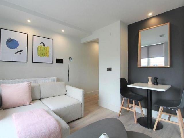 1 bedroom apartment to rent