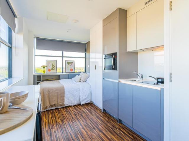 1 bedroom apartment to rent