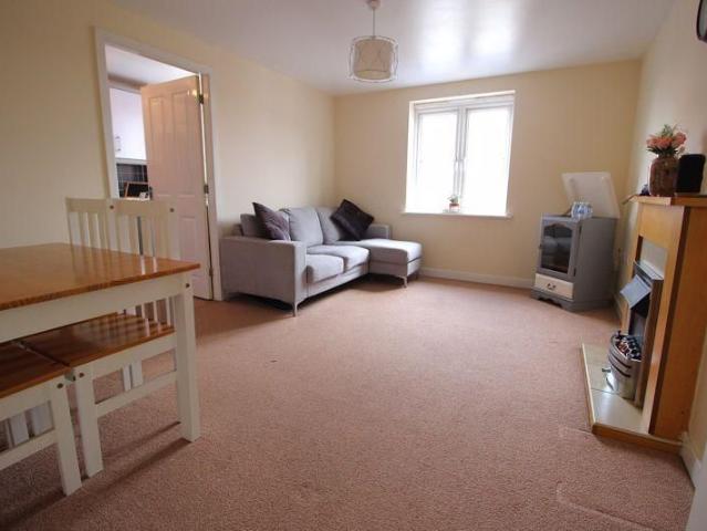 1 bedroom apartment to rent