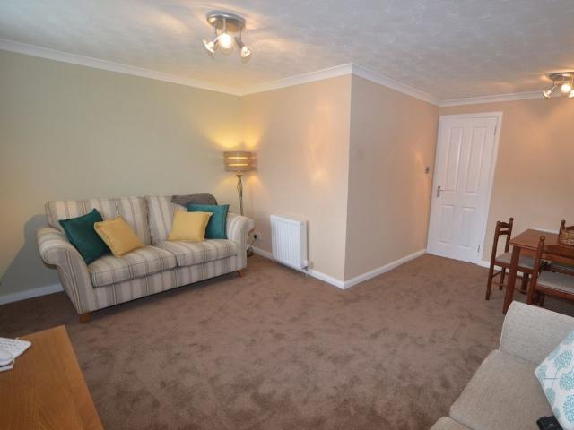 1 bedroom apartment to rent