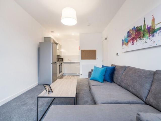 1 bedroom apartment to rent