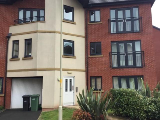 1 bedroom apartment to rent