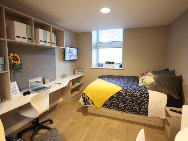 1 bedroom apartment to rent