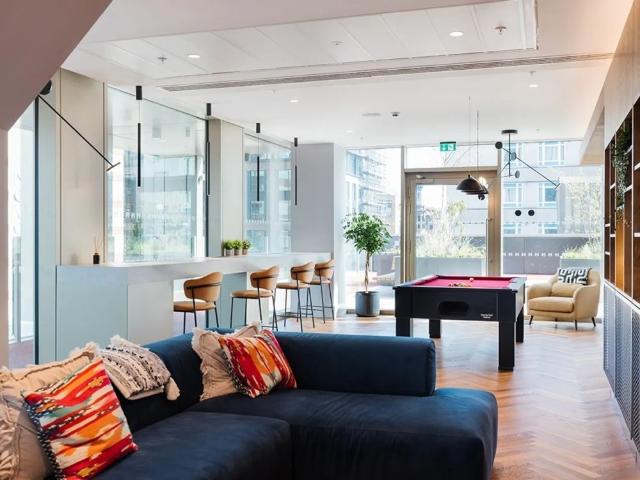 1 bedroom apartment to rent