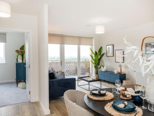 1 bedroom apartment to rent
