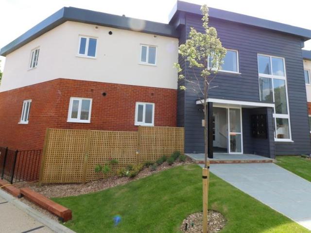 1 bedroom apartment to rent