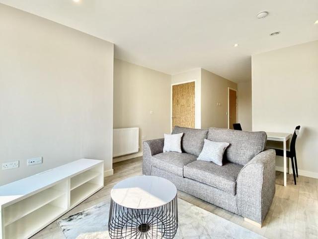 1 bedroom apartment to rent