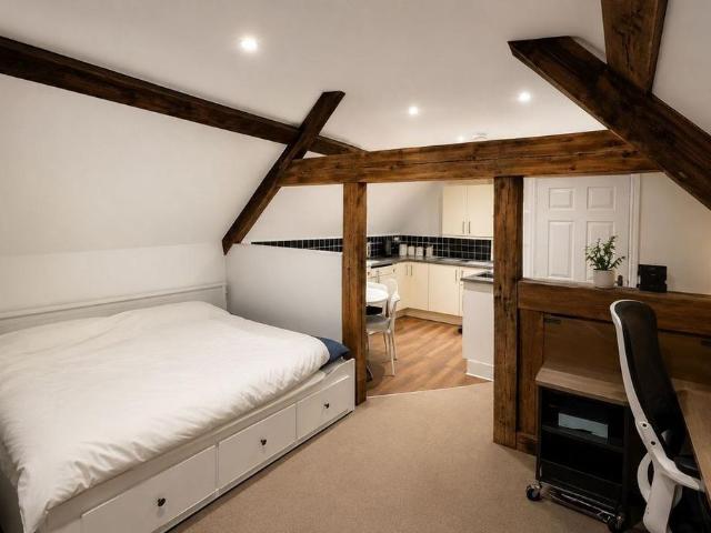 1 bedroom apartment to rent