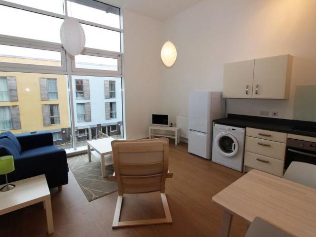 1 bedroom apartment to rent