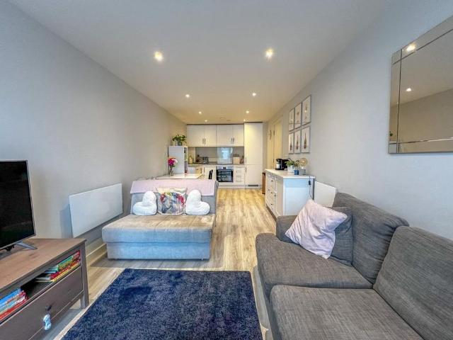 1 bedroom apartment to rent