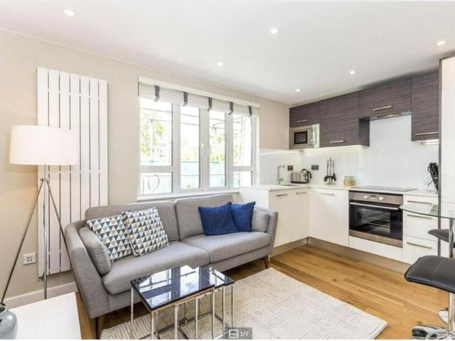 1 bedroom apartment to rent