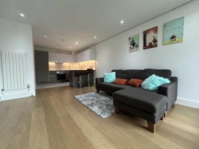 1 bedroom apartment to rent