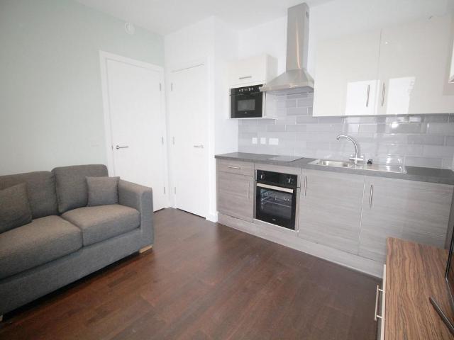 1 bedroom apartment to rent
