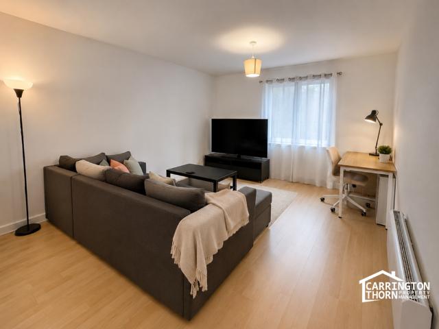 1 bedroom apartment to rent