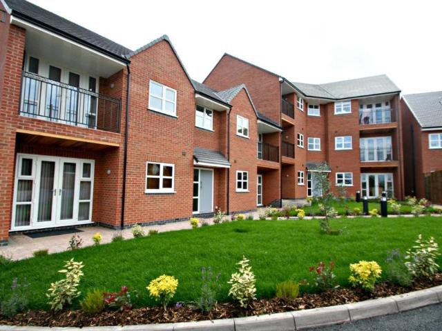 1 bedroom apartment to rent