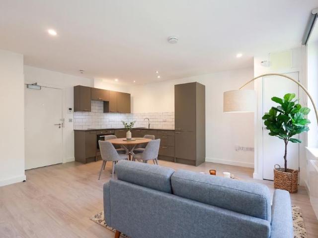 1 bedroom apartment to rent