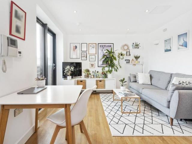 1 bedroom apartment to rent