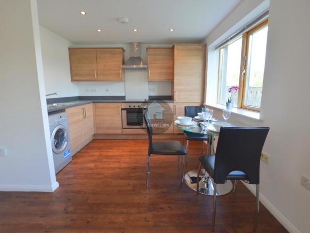 1 bedroom apartment to rent
