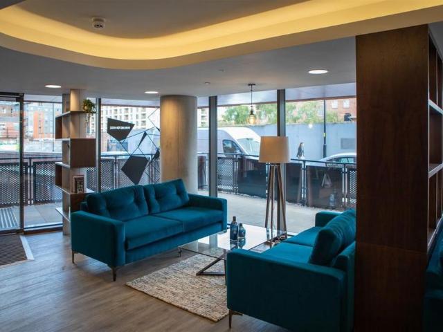 1 bedroom apartment to rent