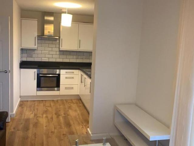 1 bedroom apartment to rent