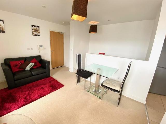 1 bedroom apartment to rent