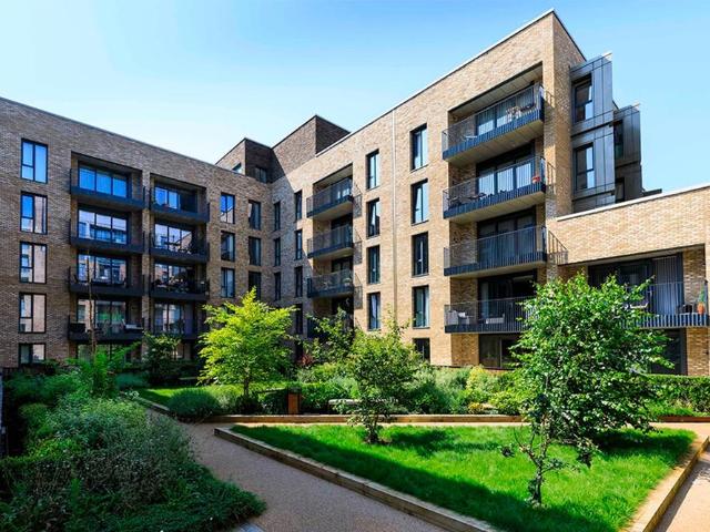 1 bedroom apartment to rent