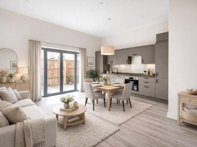 1 bedroom apartment to rent