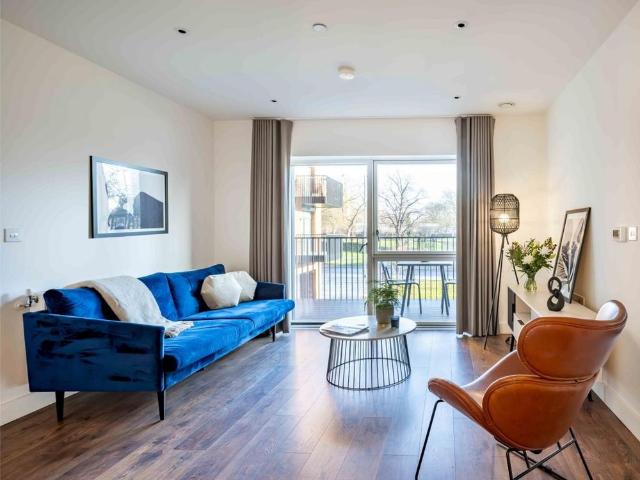 1 bedroom apartment to rent