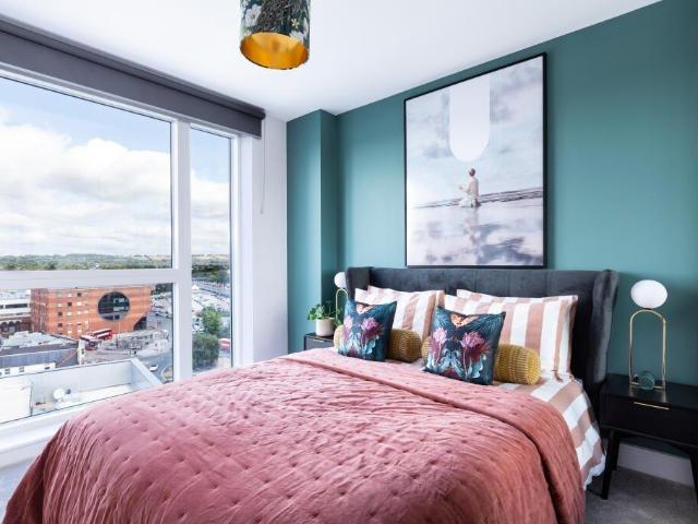 1 bedroom apartment to rent