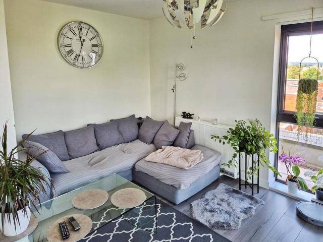 1 bedroom apartment to rent