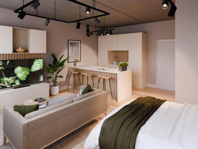 1 bedroom apartment to rent