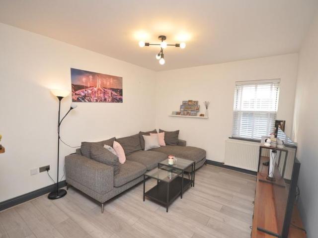 1 bedroom apartment to rent