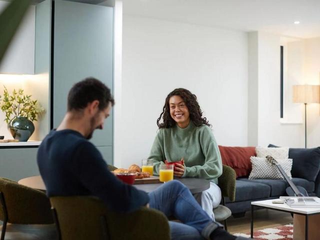 1 bedroom apartment to rent