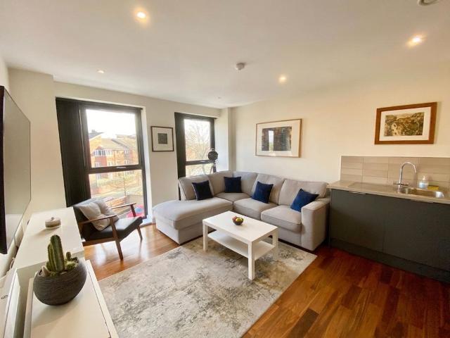 1 bedroom apartment to rent
