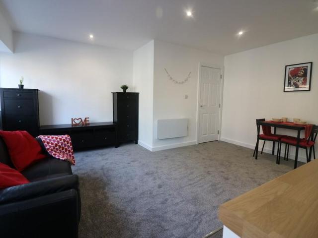 1 bedroom apartment to rent
