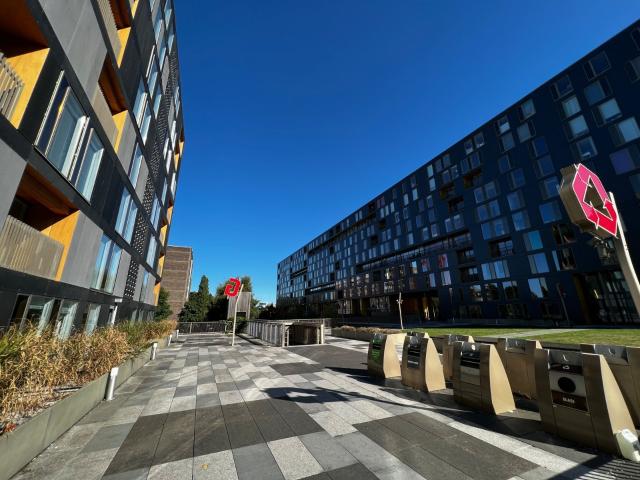 1 bedroom apartment to rent