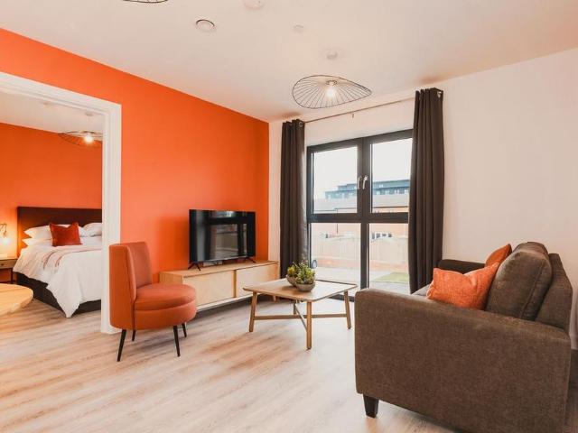 1 bedroom apartment to rent