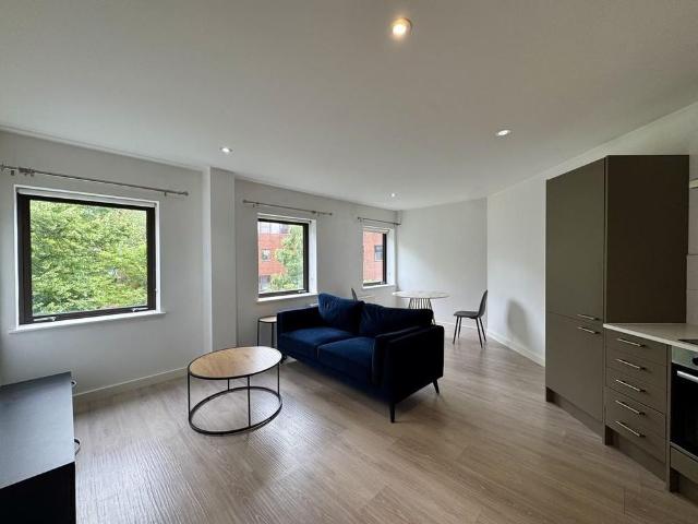 1 bedroom apartment to rent