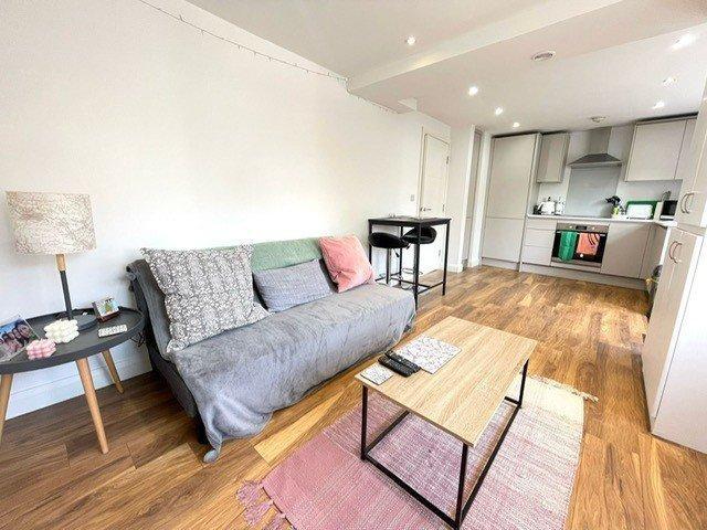 1 bedroom apartment to rent