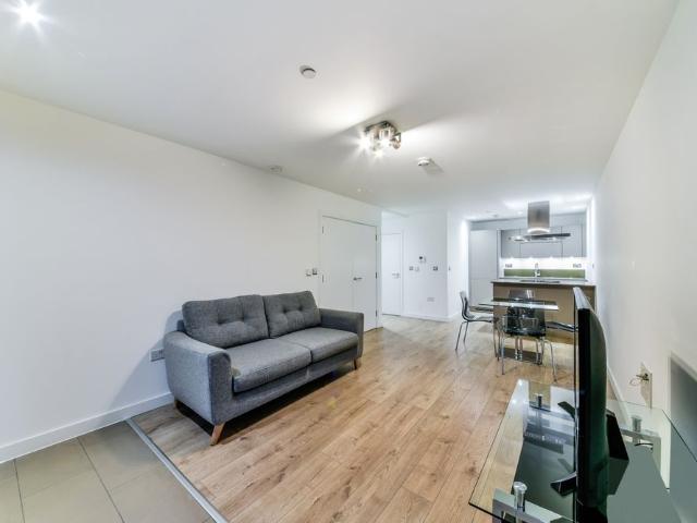 1 bedroom apartment to rent